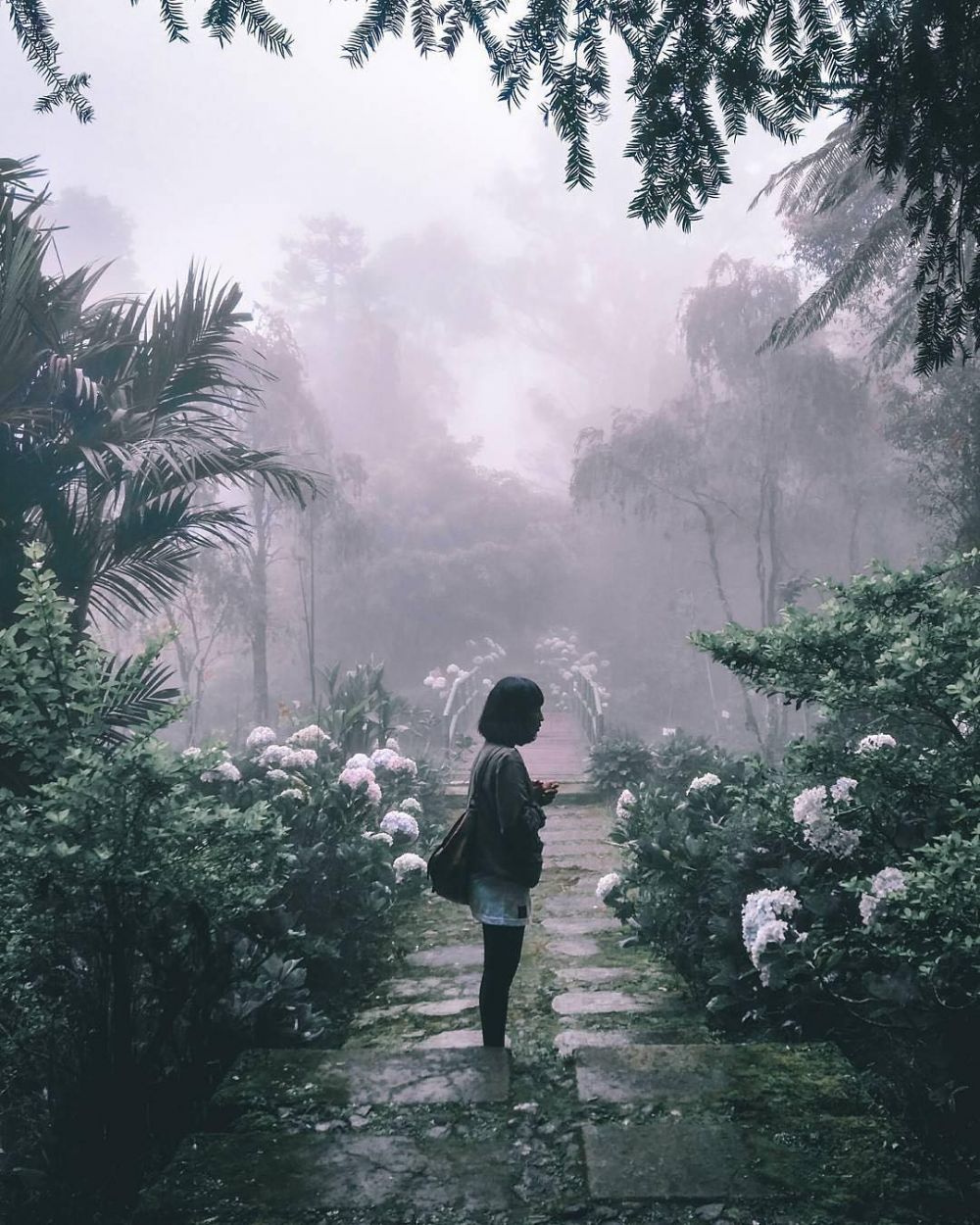 9 Potret Indah Arboretum Sumber Brantas, Destinasi Gratis di Kota Batu