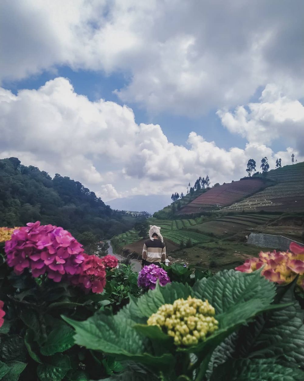 9 Potret Indah Arboretum Sumber Brantas, Destinasi Gratis di Kota Batu