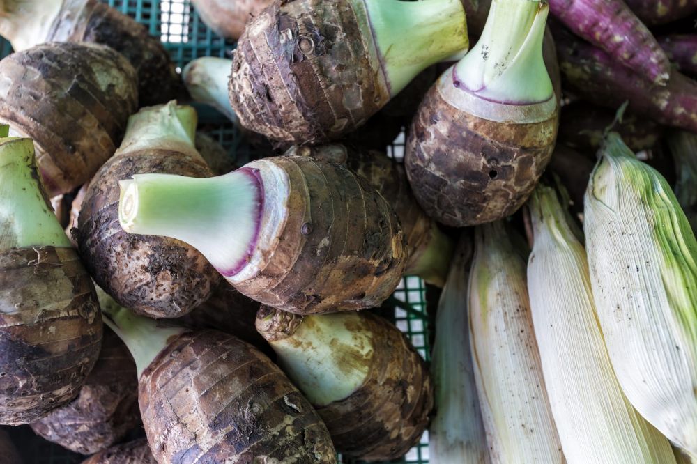 5 Tips Olah Talas yang Benar dan Sesuai, Dijamin Lezat!