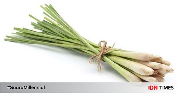 5 Manfaat Serai yang Sangat Menakjubkan untuk Kesehatan