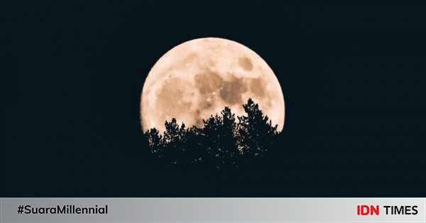 [PROSA] Ayat-Ayat Rindu Dalu