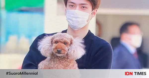 10 Fakta Monsieur, Anjing Kedua Sehun EXO yang Menggemaskan!