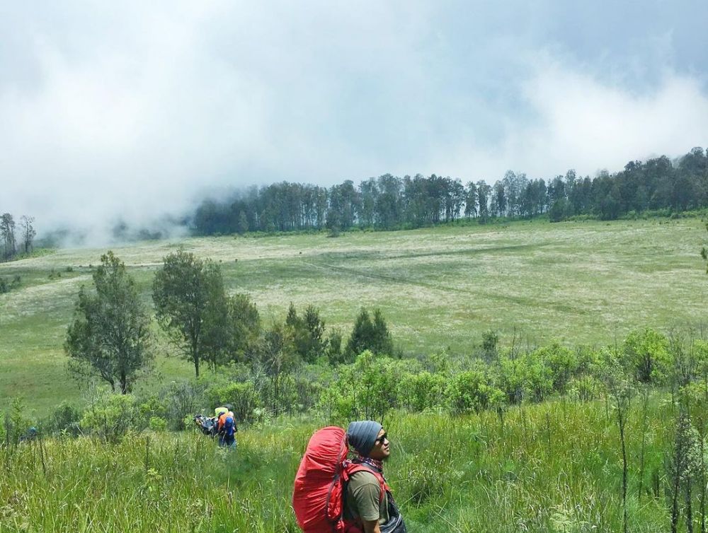 9 Fakta Gunung Argopuro