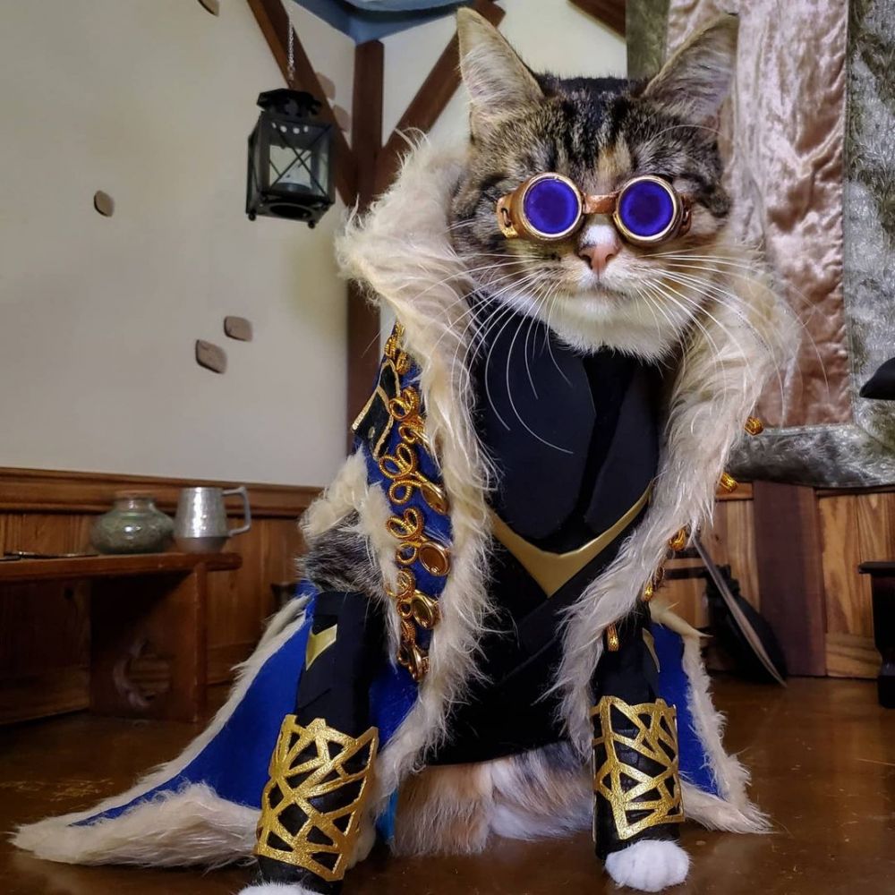 Potret Cosplay Kucing Saat Tirukan Karakter Film