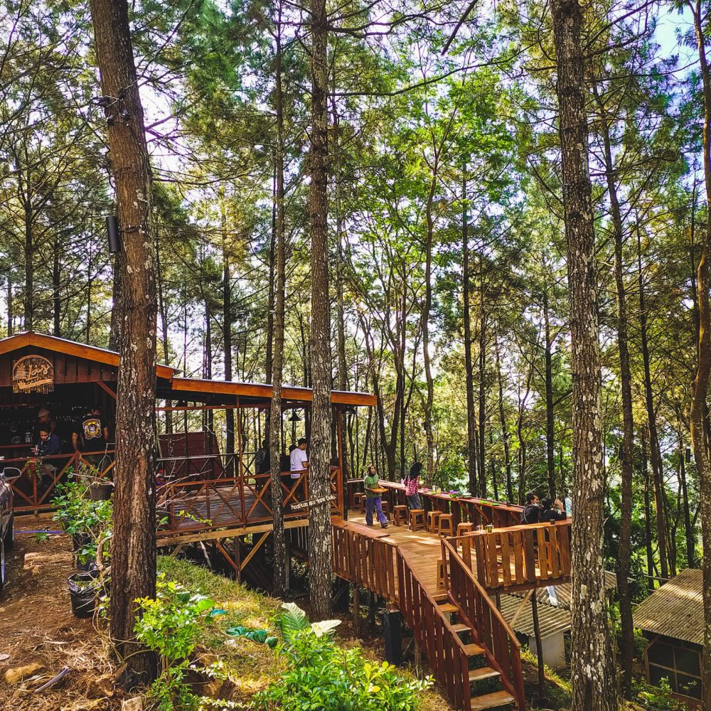 Teduhnya Nongkrong di Tengah Hutan Pinus Alas Pacet