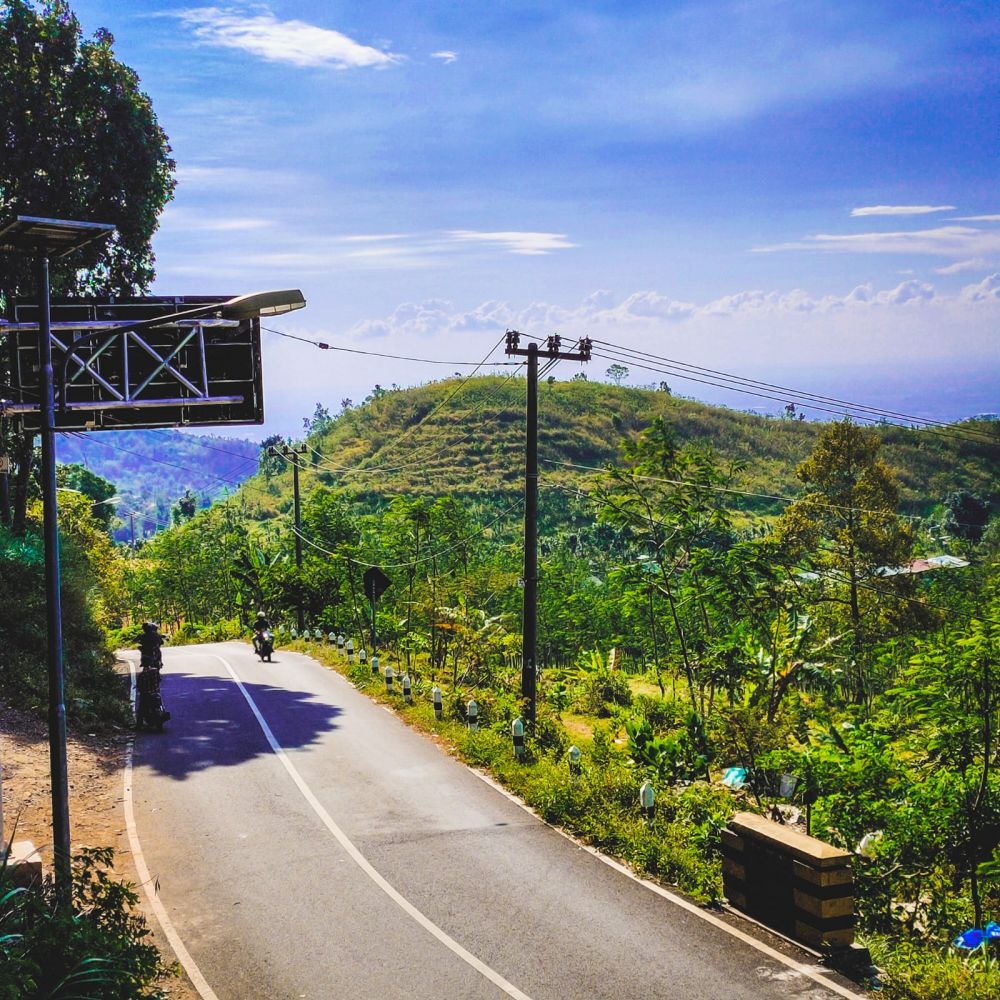 Teduhnya Nongkrong di Tengah Hutan Pinus Alas Pacet