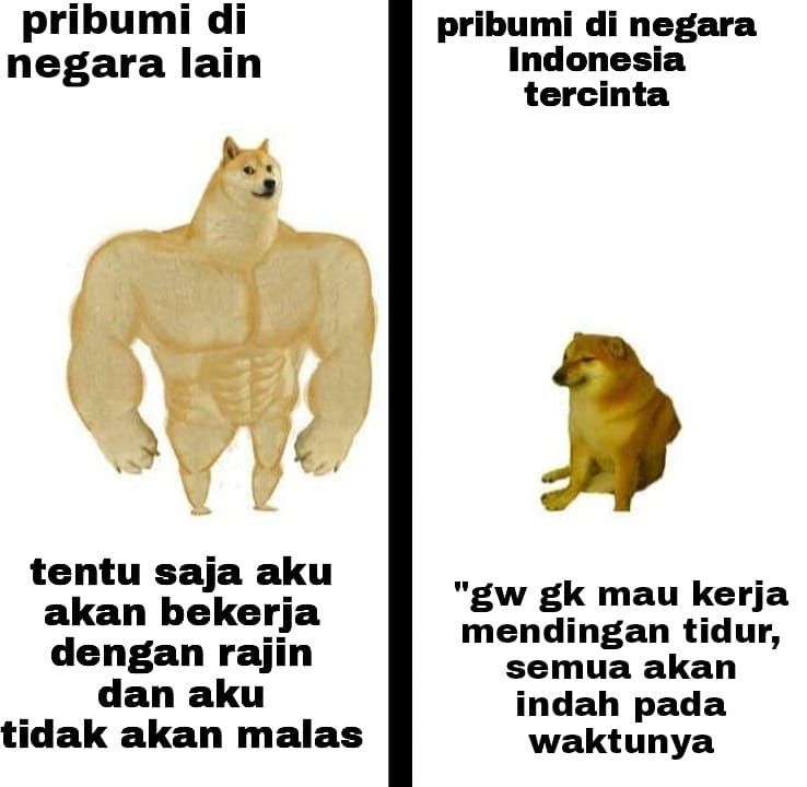10 Meme Kuat versus Lemah Ini Bikin Elus Dada