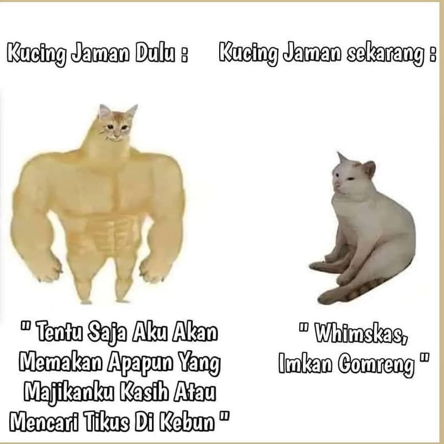 10 Meme Kuat versus Lemah Ini Bikin Elus Dada