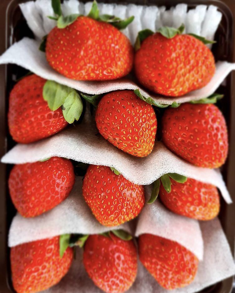 Jenis Stroberi Populer di Korea Selatan