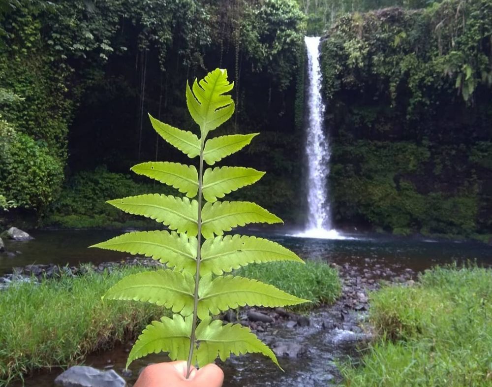 Curug Ceheng Banyumas
