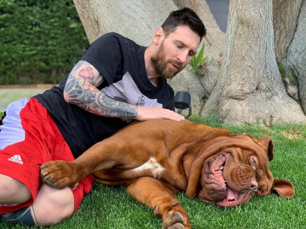 10 Potret Artis Hollywood Bersama Anjing Perliharaan, Gemas!