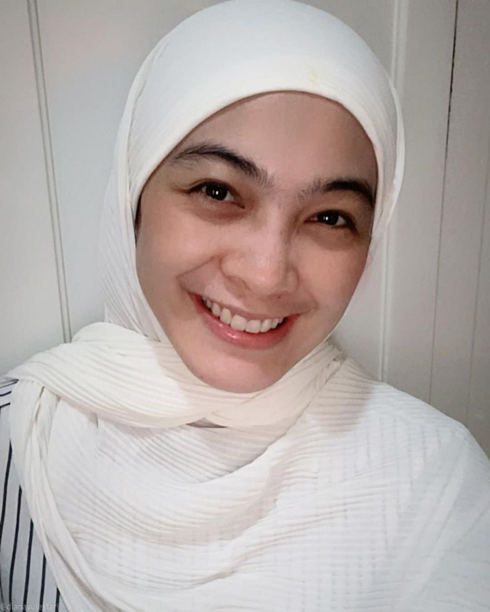 9 Potret Menawan Dian Ayu Lestari, Bumil yang Selalu Hits!