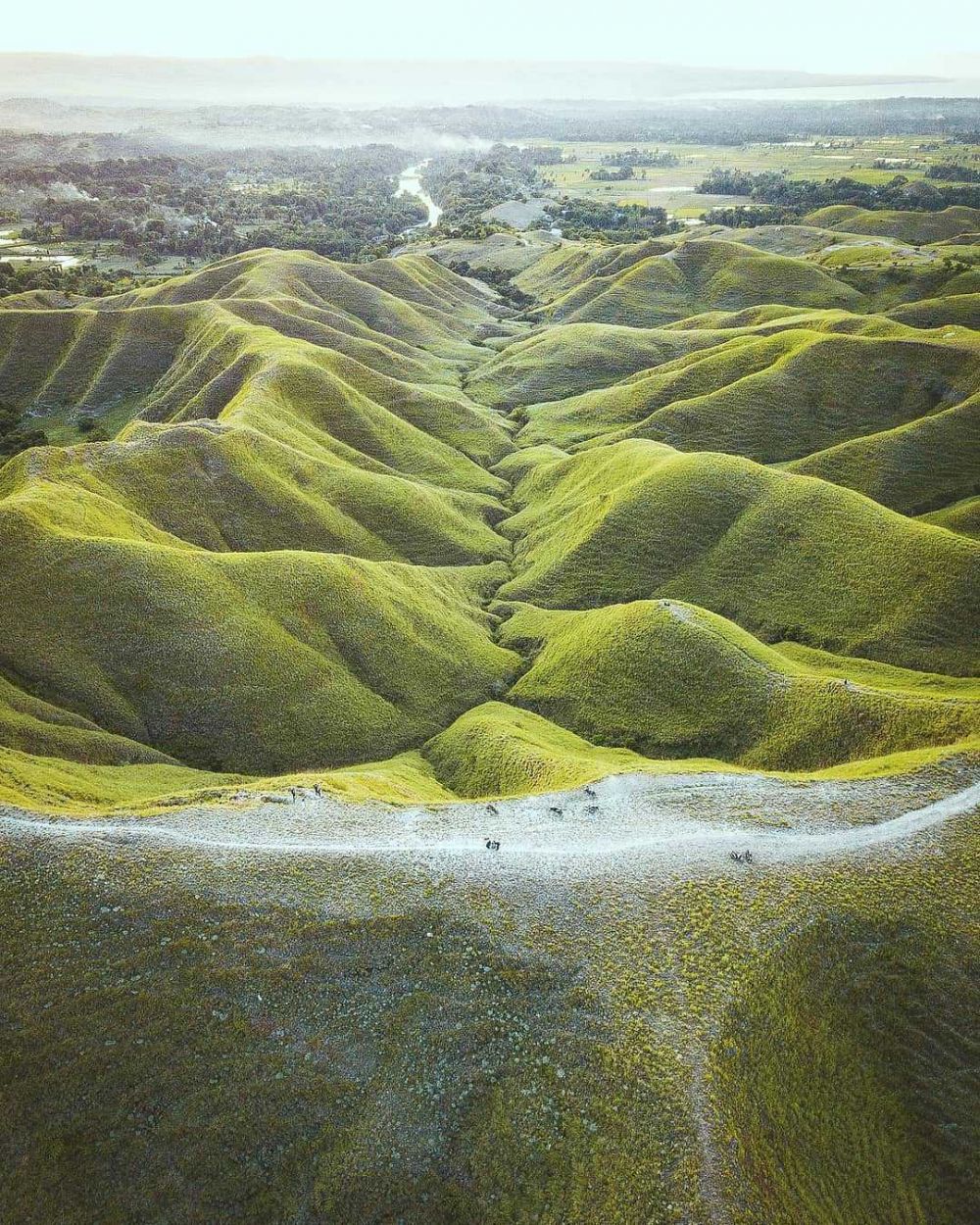 Potret Bukit Tenau di Sumba