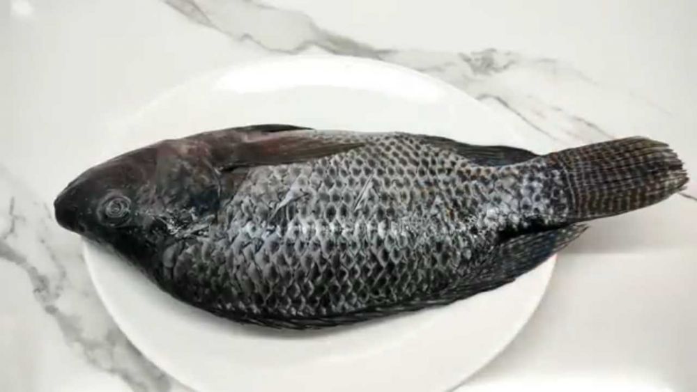 Resep Cobek Ikan Nila yang Pedas dan Segar, Nikmat Banget!