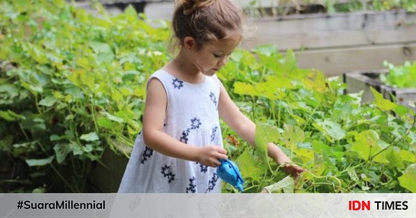 7 Tips agar Tanaman Tumbuh Sehat, Jangan Kelebihan Menyiram