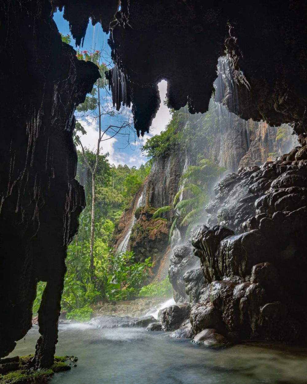 Fakta Menarik Gua Tetes Lumajang