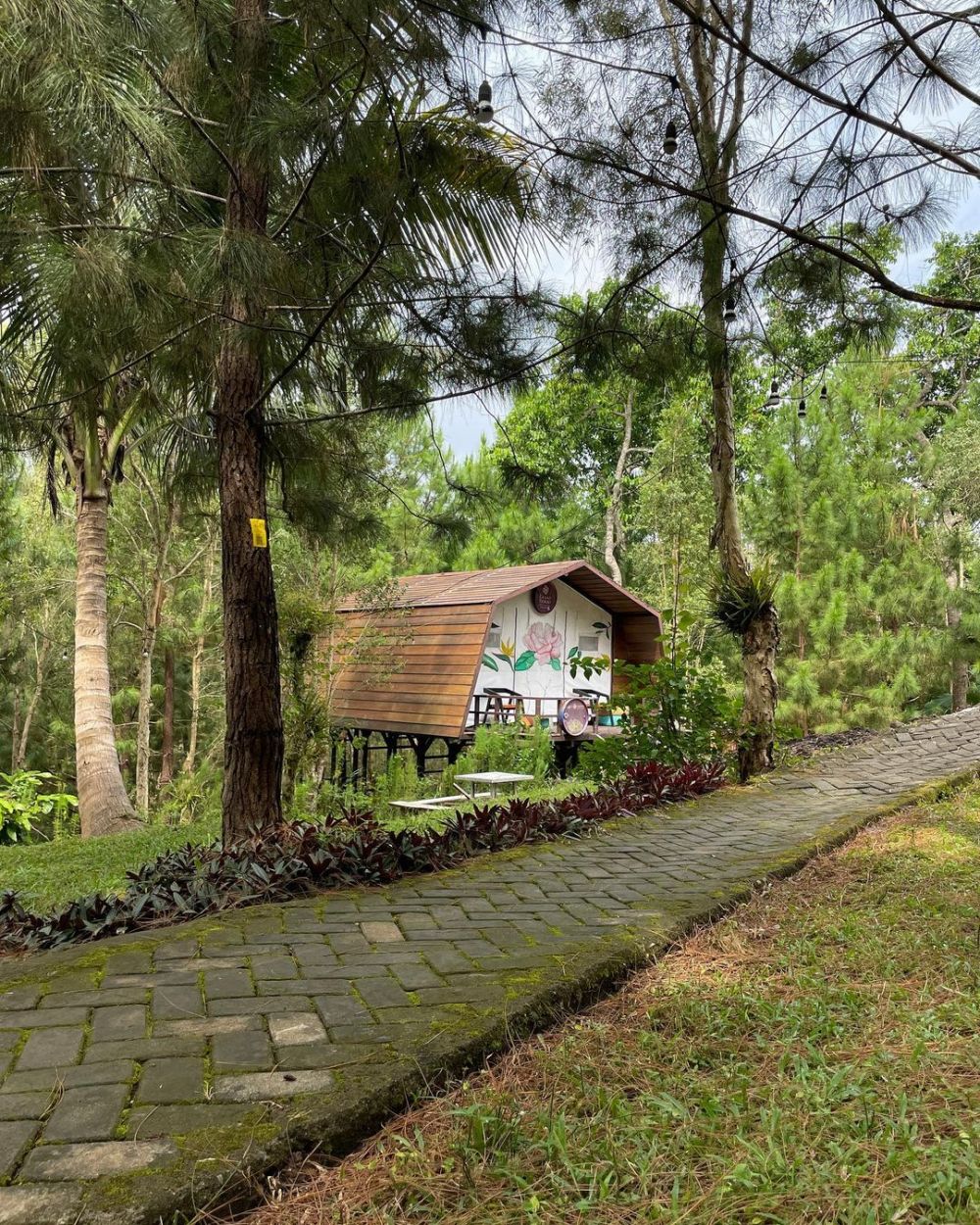 6 Rekomendasi Glamping di Yogyakarta, Cocok untuk Healing!