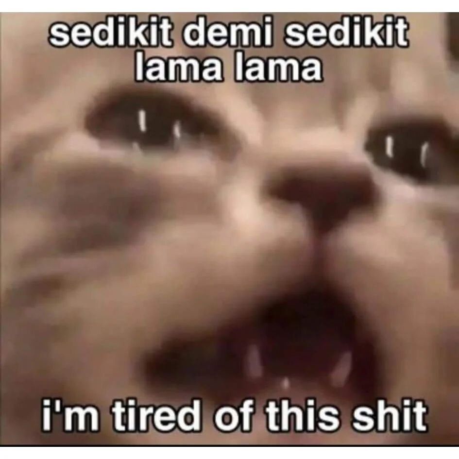 10 Meme Kucing yang Lagi Meratapi Hidup, Galau Berjamaah