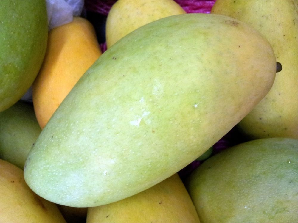 13 Fakta Unik Buah Mangga, Buah Nasional dari Tiga Negara