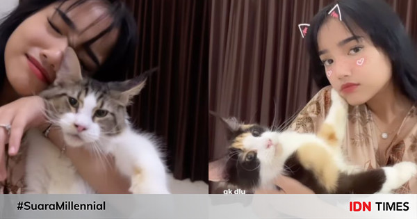 10 Momen Fuji Punya Kucing Baru, Sempat Kena Cakar