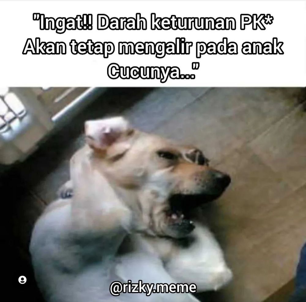 9 Meme Terngiang-ngiang Suara Berulang Ini Bikin Pusing