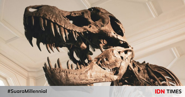 Tak Disangka, 6 Hewan ini Telah Hidup Sejak Zaman Dinosaurus
