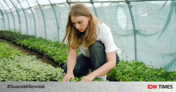 5 Manfaat Membuat Kompos di Rumah, Zero Limbah Makanan