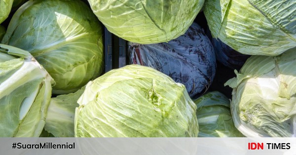 5 Tips Memilih Kubis yang Masih Segar, Cek Warnanya!