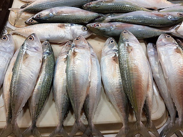 5 Jenis Ikan yang Baik untuk Kesehatan Jantung, Kaya Omega-3