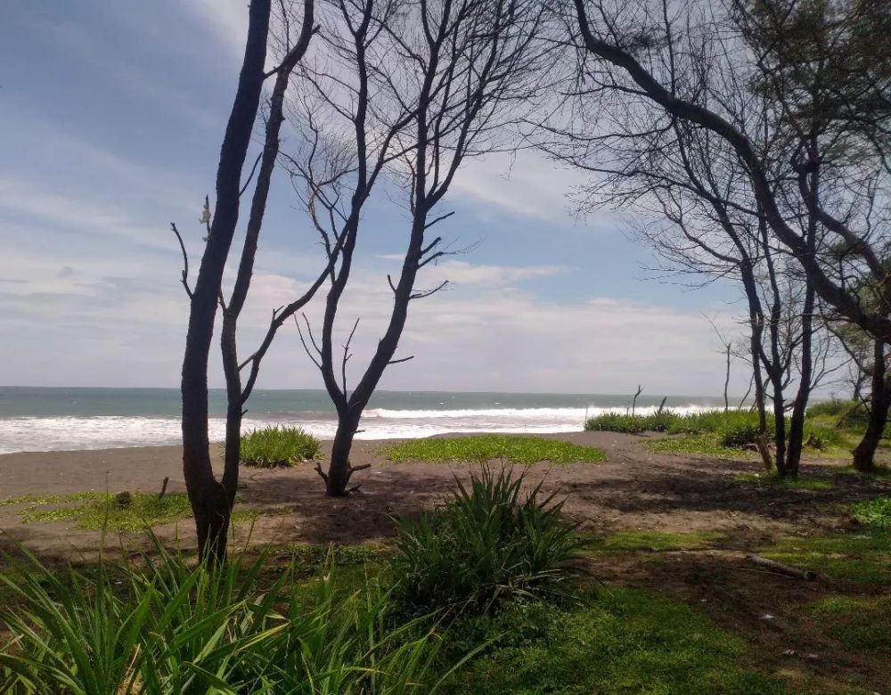 4 Pantai di Bantul Asyik untuk Tujuan Wisata Bersepeda