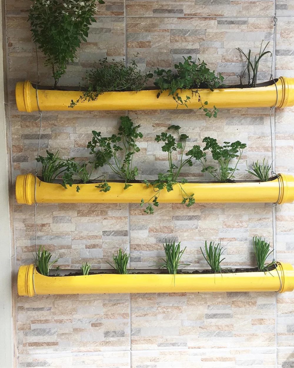 8 Inspirasi Vertical Garden dari Pipa PVC, Rumah Jadi Cantik