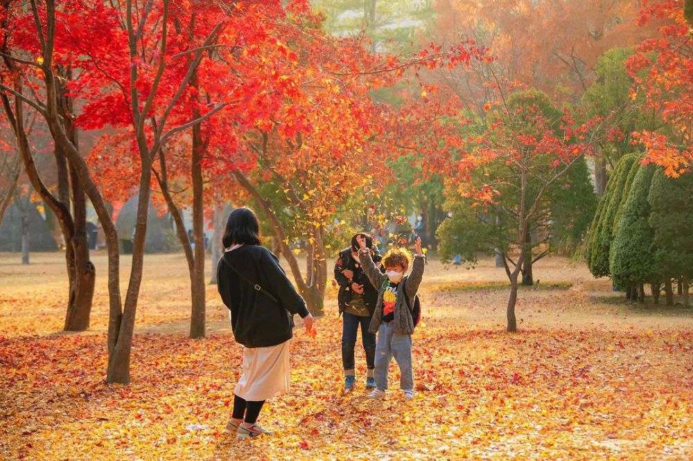 5 Wisata Musim Gugur di Korea Selatan, Suasana Bak di Drakor