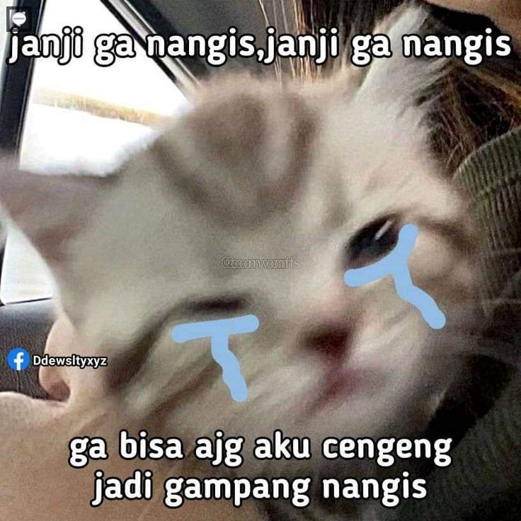 Meme Nangis ini Relate dengan Keadaan