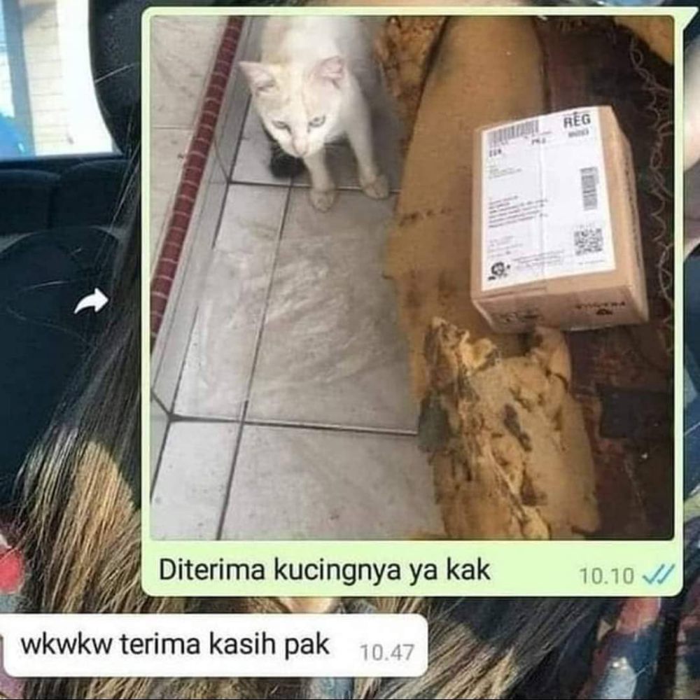 Meme Lucu Kurir Antar Paket