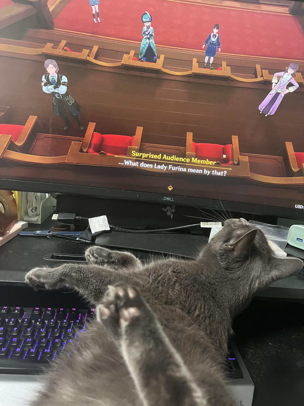 9 Potret Kucing Main Game, Ada yang Main Valorant, dong!