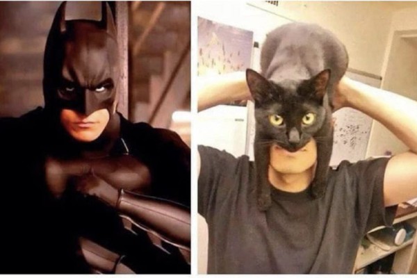 8 Potret Lucu Kucing Memakai Topeng Batman, Gayanya Gagah