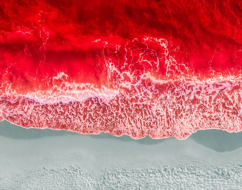 8 Fakta Mengejutkan Laut Merah, Apakah Benar-benar Merah?