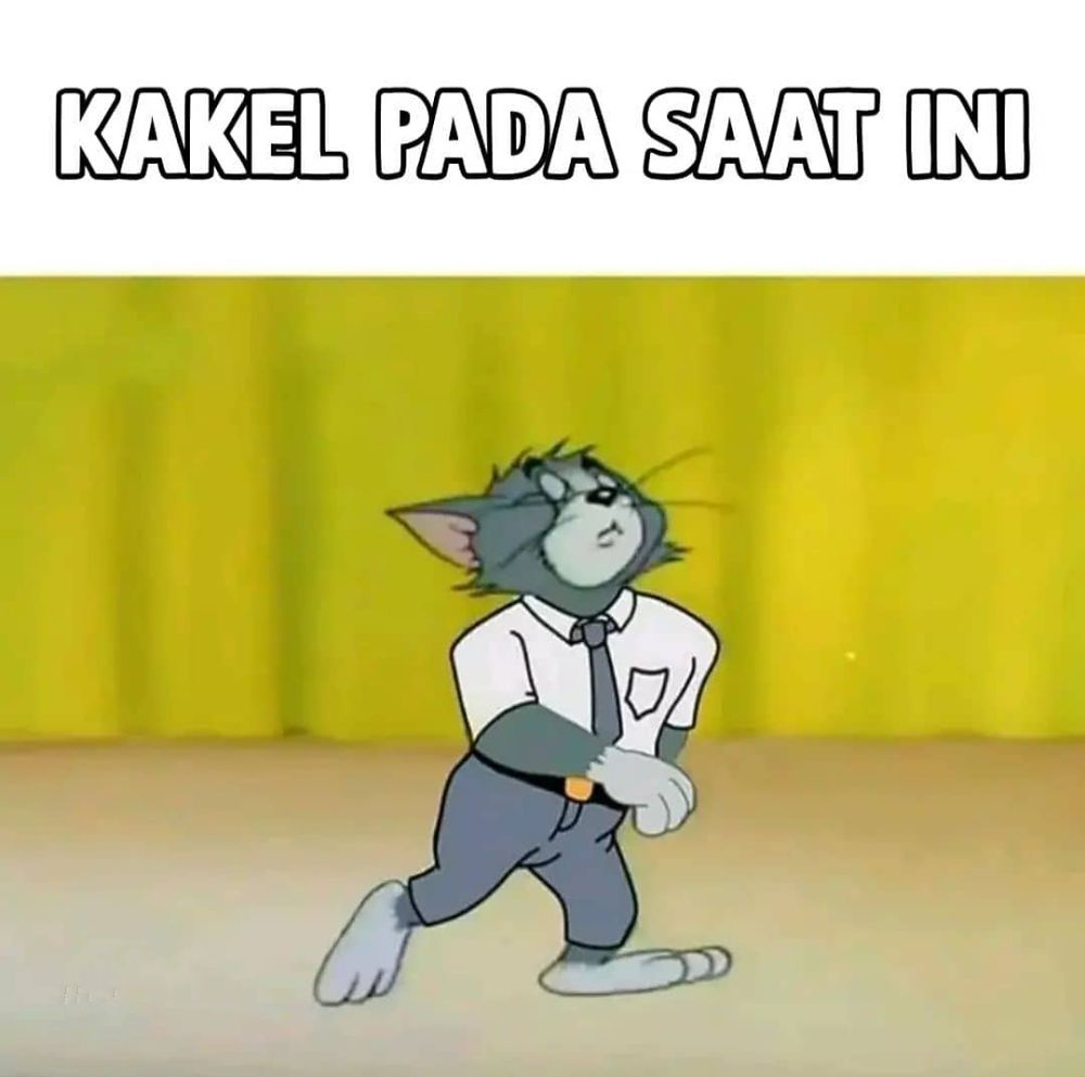 Tom Meme Mal