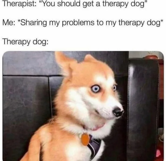 7 Meme Curhat Masalah Hidup ke Hewan Peliharaan