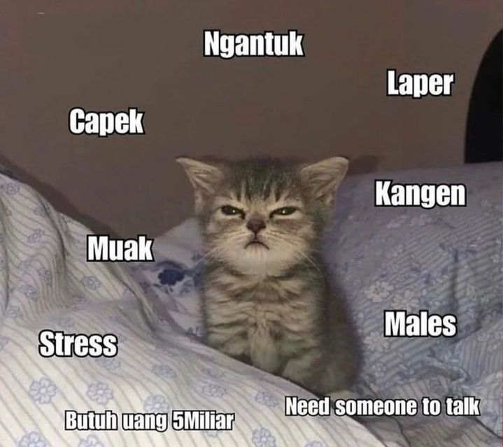 8 Meme Ngomong dalam Hati, Kepikiran Terus sama Masalah