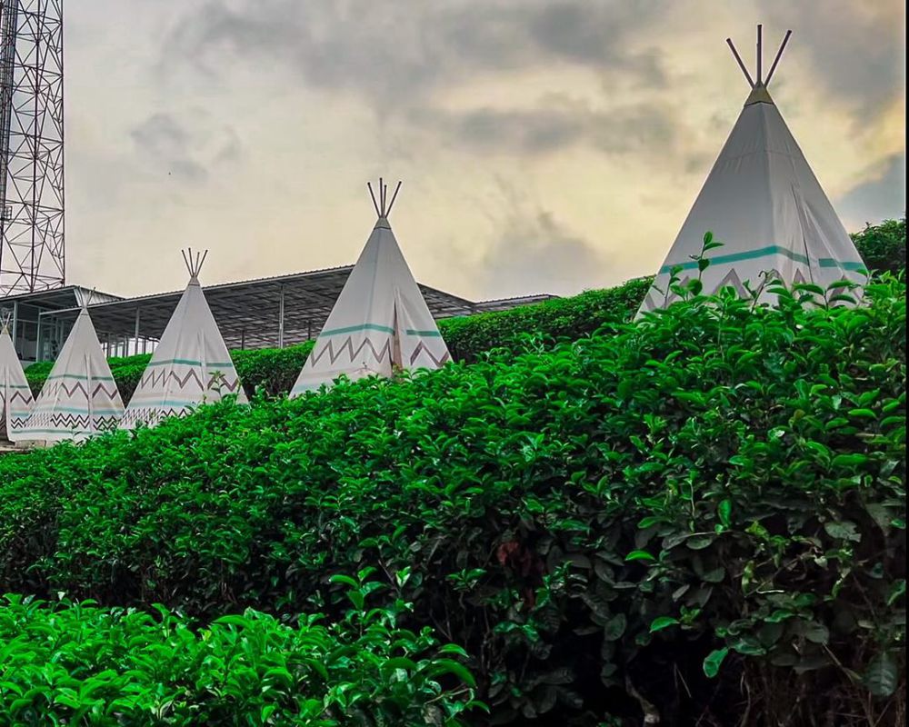 Nimo Tea Resort Pangalengan Bandung: Lokasi, Rute, dan Harga