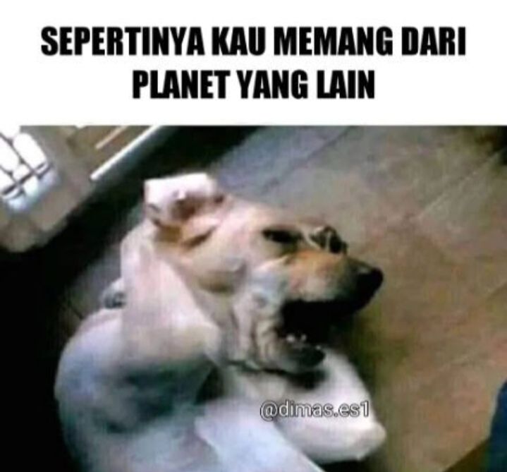 7 Meme Lagu Dari Planet Lain, Bikin Terngiang-ngiang!
