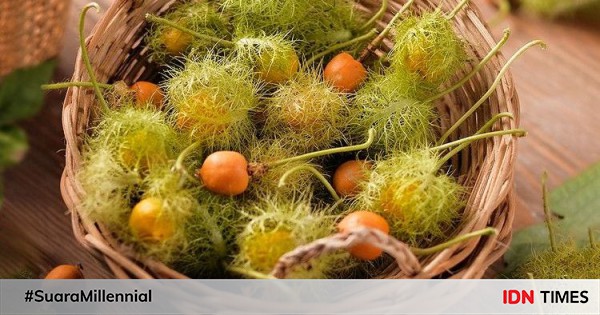 11 Buah-buahan Liar yang Sering Diburu saat Kanak-Kanak