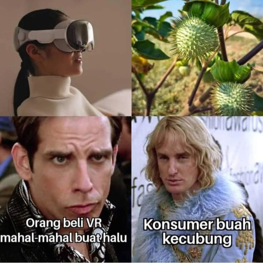 7 Meme Gak Sengaja Makan Buah Kecubung, Langsung Halusinasi?