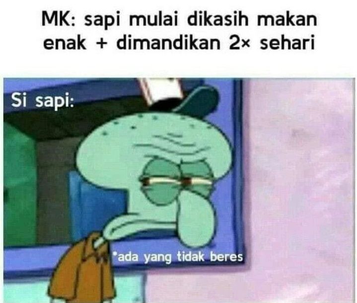 7 Meme Sapi Menjelang Hari Kurban, Banyakin Makan Dulu?