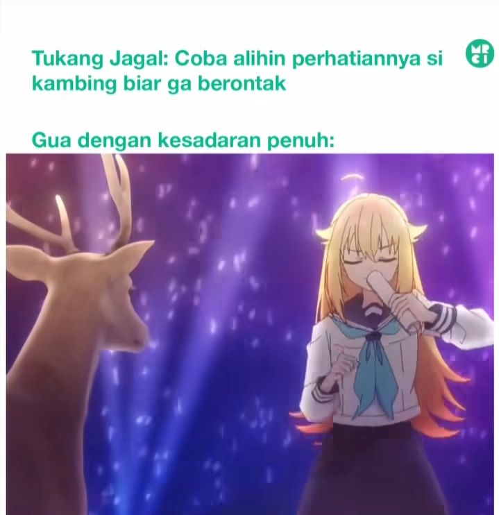 7 Meme Tukang Jagal Hewan Kurban, Outfit Kaus Partai?