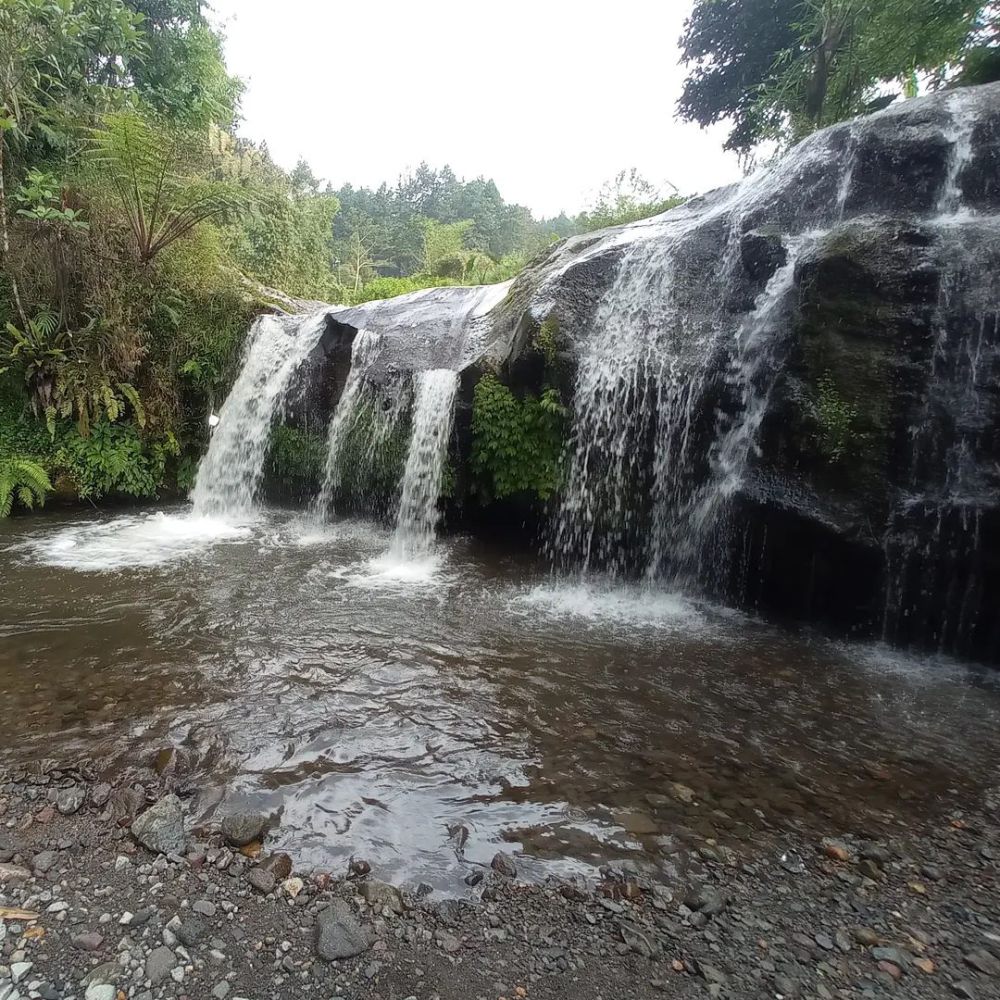 Taman Strawberry Curug Cimpedak Tegal