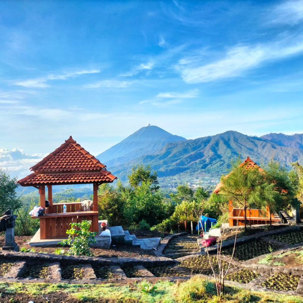 7 Wisata Gratis di Lumajang, Banyak Alam Pemandangan Indah
