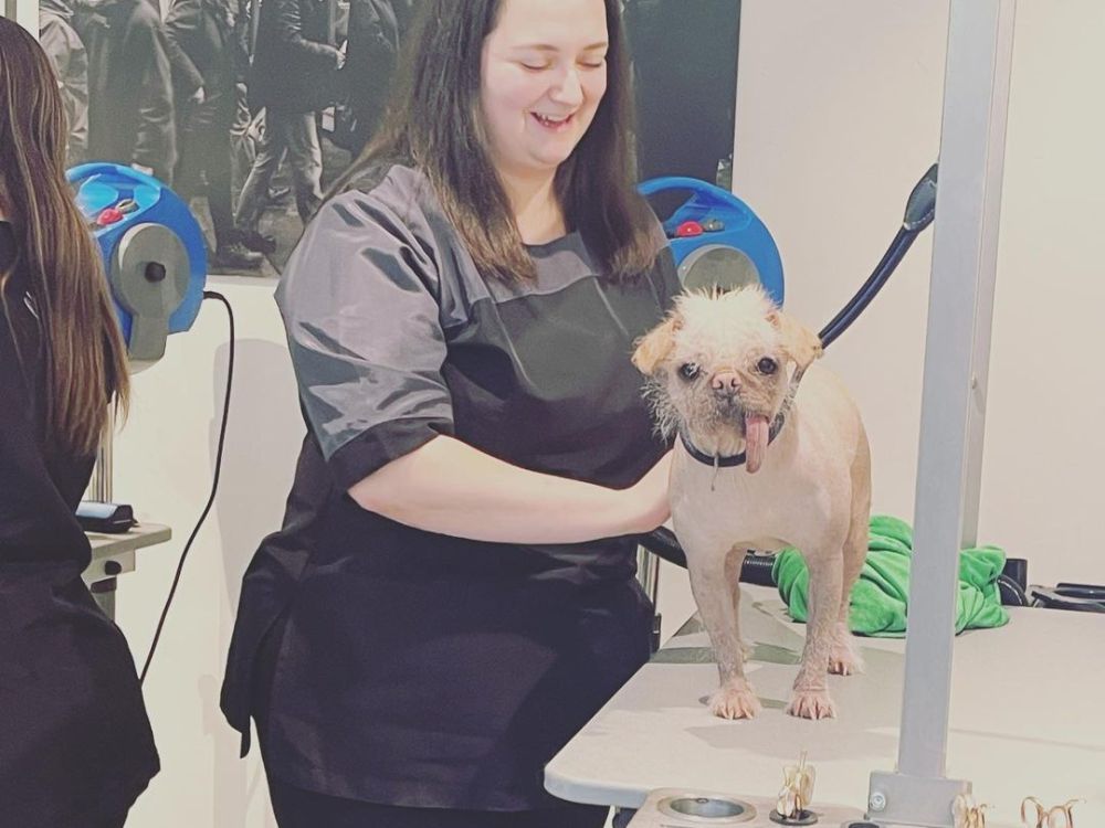 Peggy Pemeran Anjing Wade Wilson di Deadpool & Wolverine