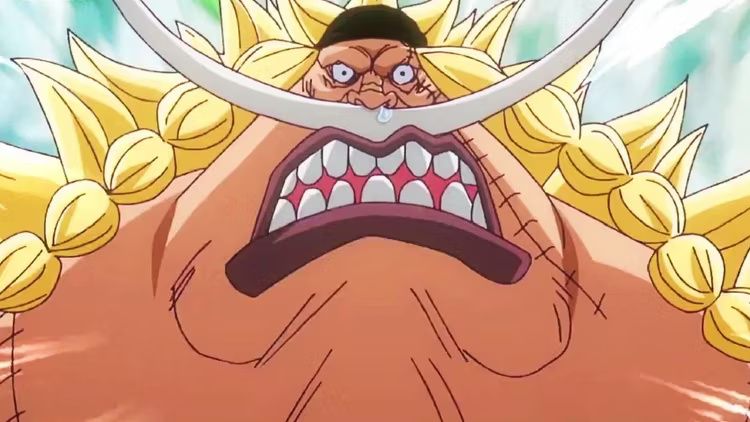 10 Karakter One Piece yang Berpotensi Bergabung dengan Cross